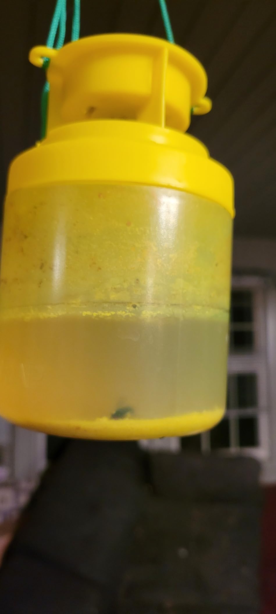 Amazon.com: Solar Fly Traps Outdoor with 2 Packs Fly Attractant,Non ...