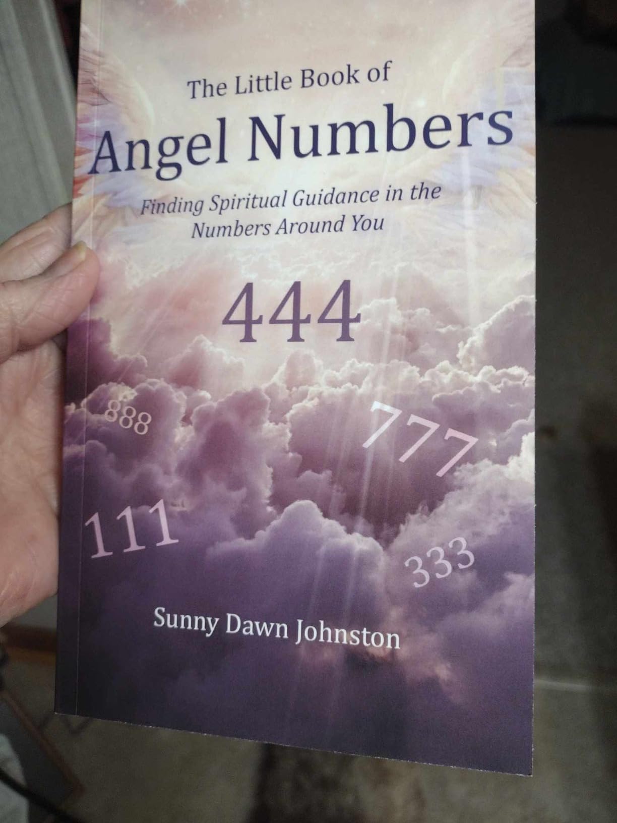 The Little Book of Angel Numbers: Finding Spiritual Guidance In the ...