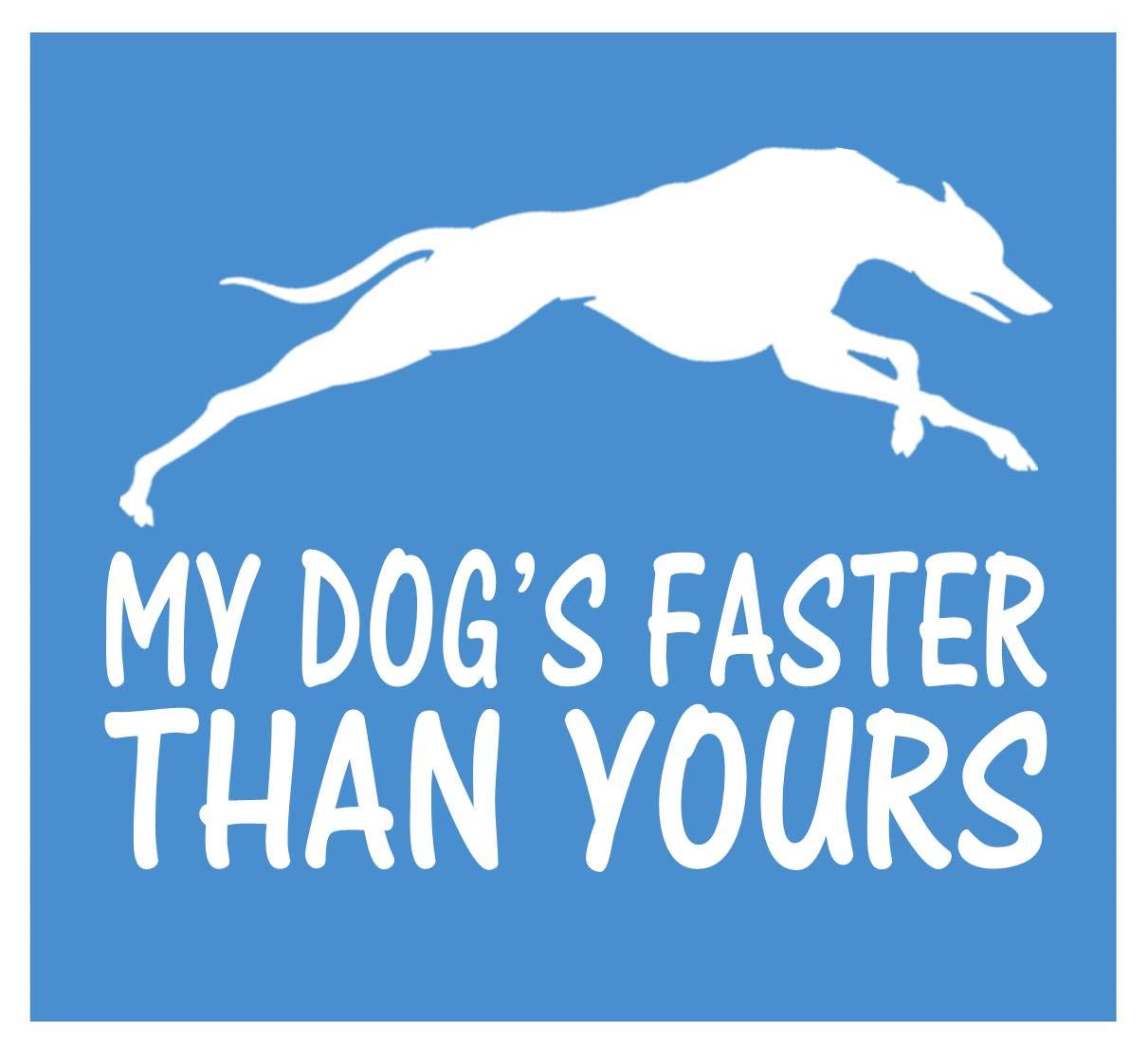 Which Is Faster A Dog Or A Horse
