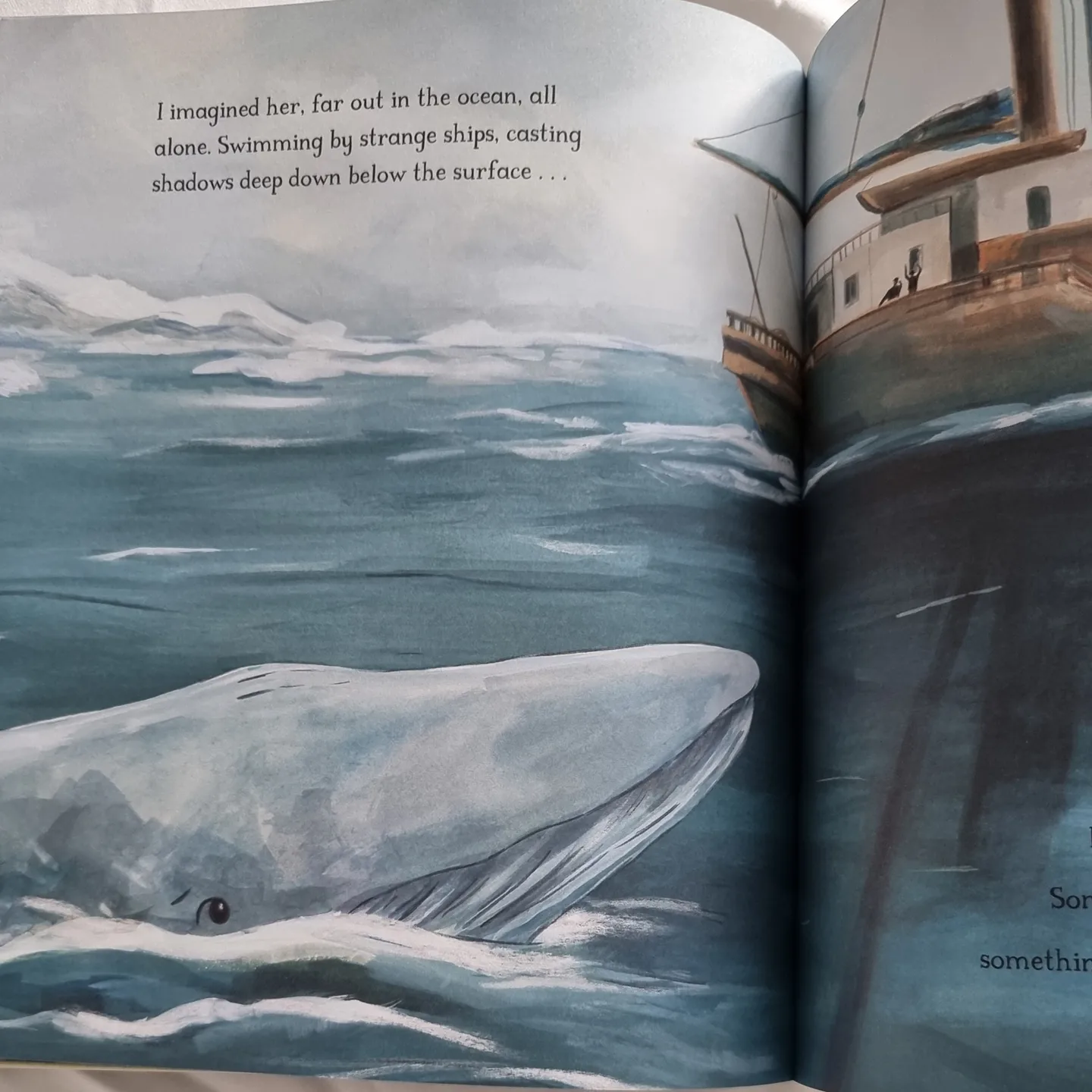 Hope the Whale: In Association with the Natural History Museum : Books ...
