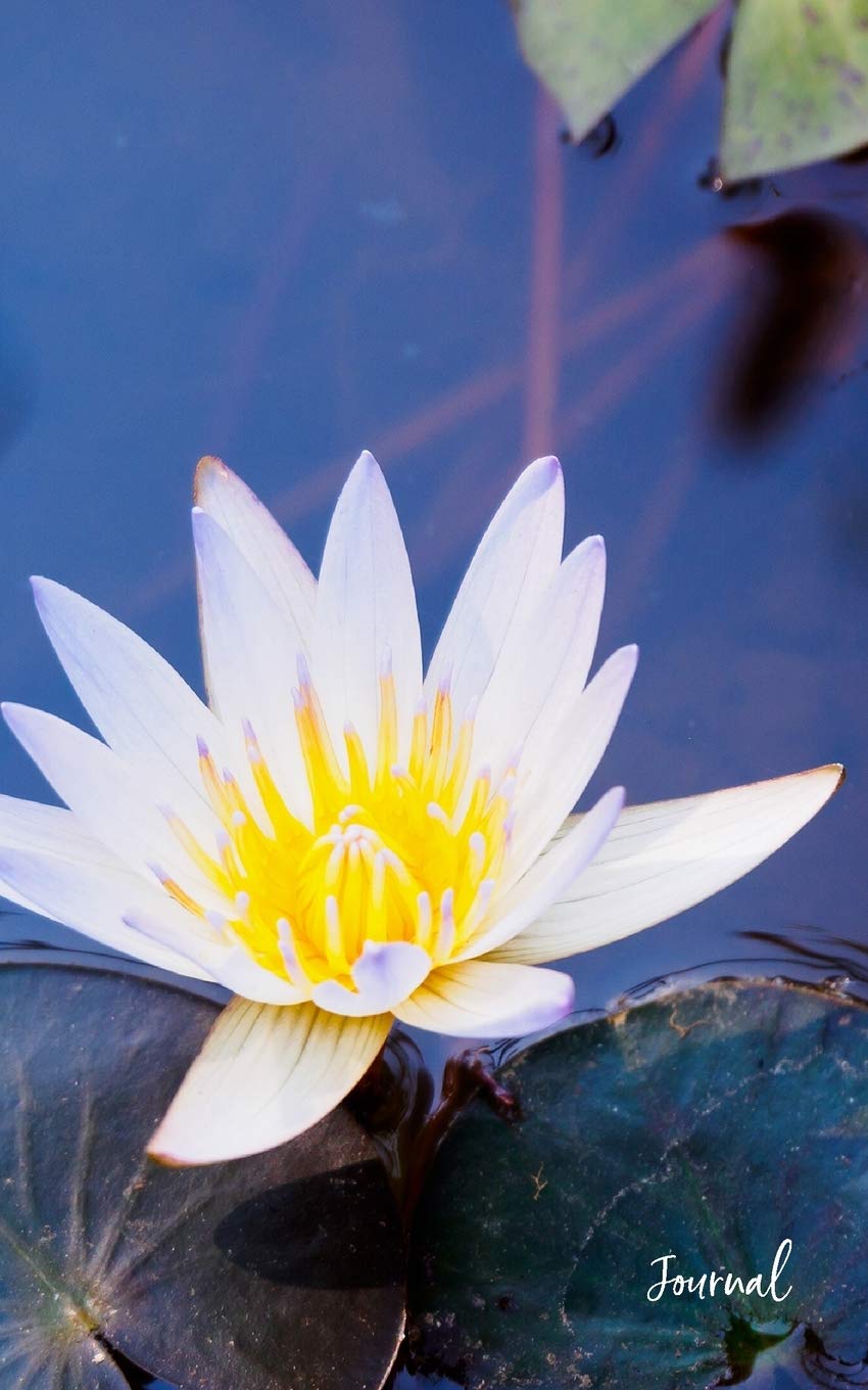 Lotus Flower Journal: Beautiful White Lotus Flower Lined Journal ...
