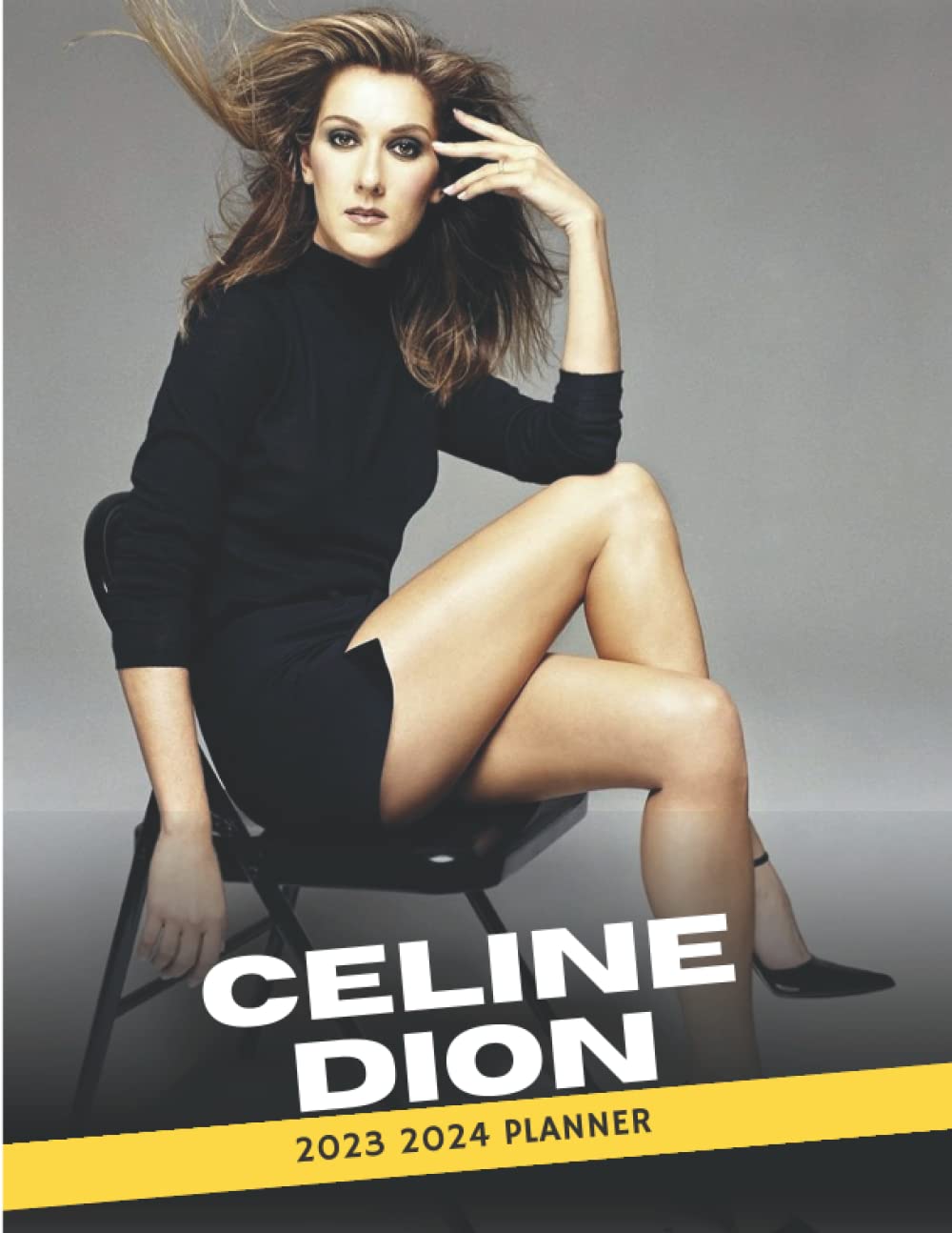 Celine Dion 2023 2024 Calendar: Celine Dion Two Years monthly planner ...