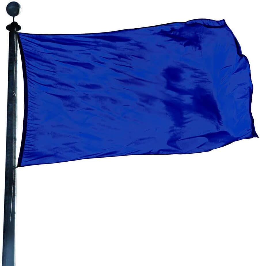 Amazon.com : Color Flag: Royal Blue (2 ft. x 3 ft.) : Outdoor Flags ...