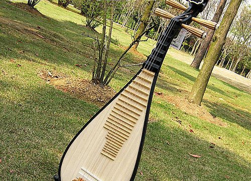 Pipa (liuto cinese) | Trova Prezzi Migliori Offerte Online