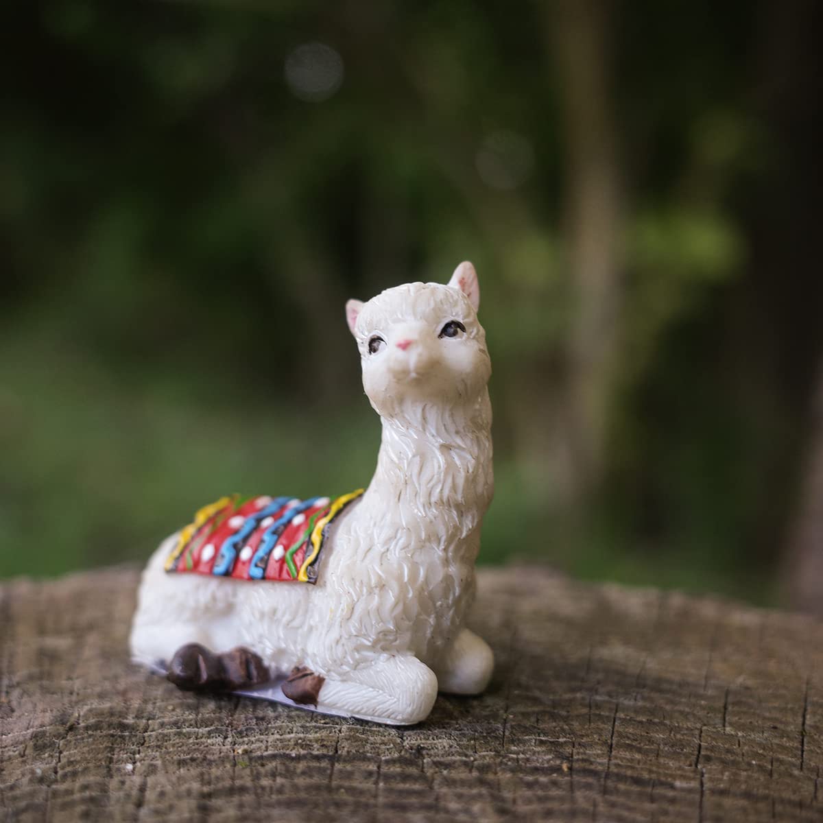 Miniatyr Lama Baby Alpakas : R/cute