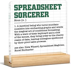 Amazon.com: Funny Accountant Office Desk Decor Sign, Spreadsheet ...