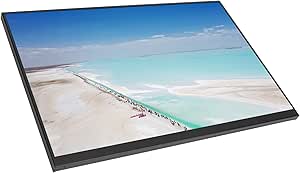 Amazon.com: Portable Monitor, 18 Inch 1080P HD Laptop Monitor for ...