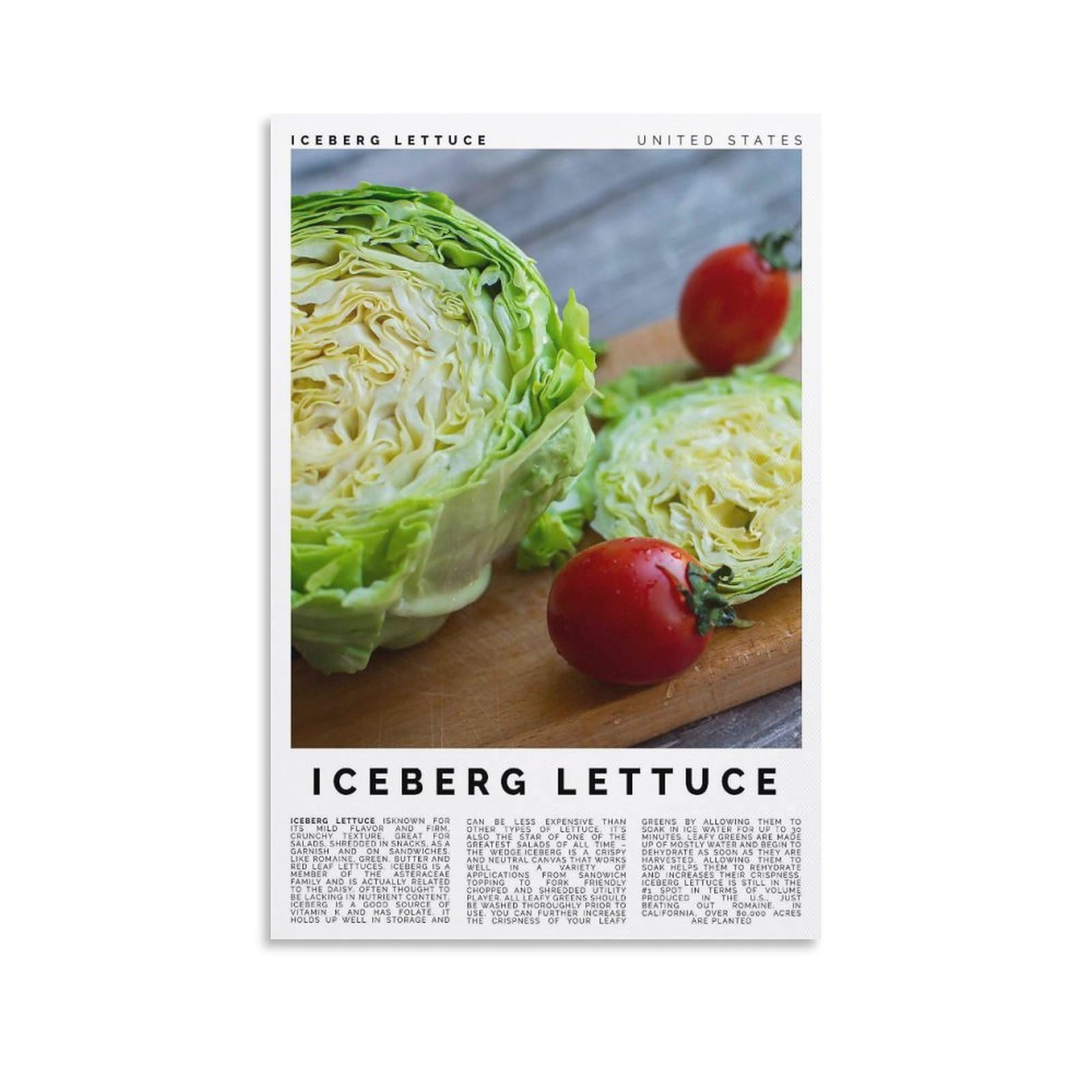 Vintage Lettuce Illustration