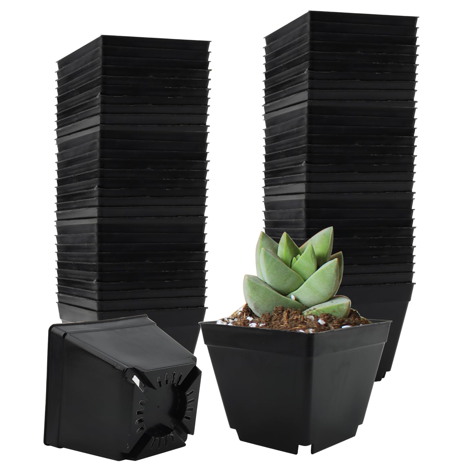 Amazon.com: JOIKIT 60 Pack 4 Inch Black Square Nursery Pot, Plastic ...