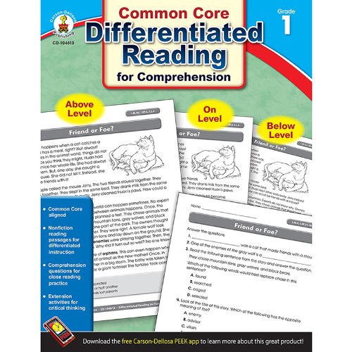 Scholastic Read 180 Stage B Resources for Differentiated Instruction ...