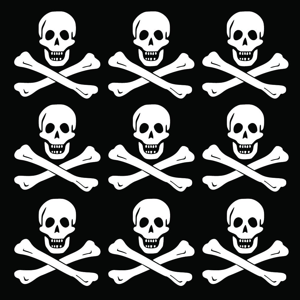 Amazon.com: Auto Vynamics - PPFS-9SHEET-10-GWHI - Gloss White Vinyl ...