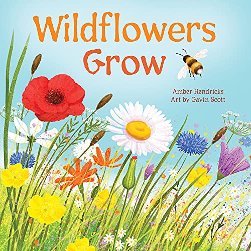 Wildflowers Grow (Little Nature Explorers): Hendricks, Amber, Scott ...