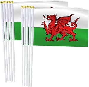 Amazon.com: 25 Pack Welsh Handheld Small Flag,Mini Wales-Welsh Hand ...