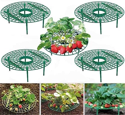 Amazon.com : Medoore 5 Pack Strawberry Supports, Adjustable Strawberry ...