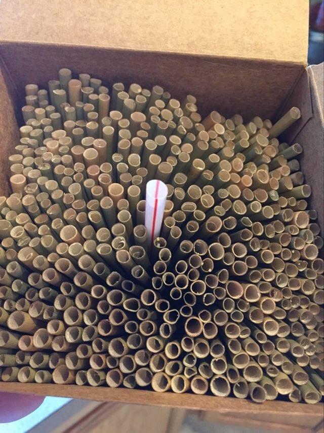 Amazon.com: Organic 500 Straws 100% Natural Green Plant Drinking Straws ...