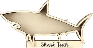 Amazon.com - Yousoontic Shark Tooth Display Case Shark Teeth Shadow Box ...