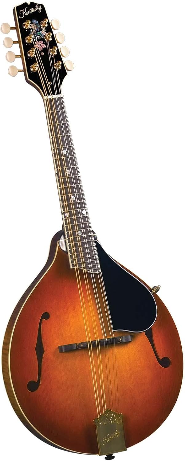 Amazon.com: Kentucky 4 String Mandolin, Right, Amberburst (KM-505 ...