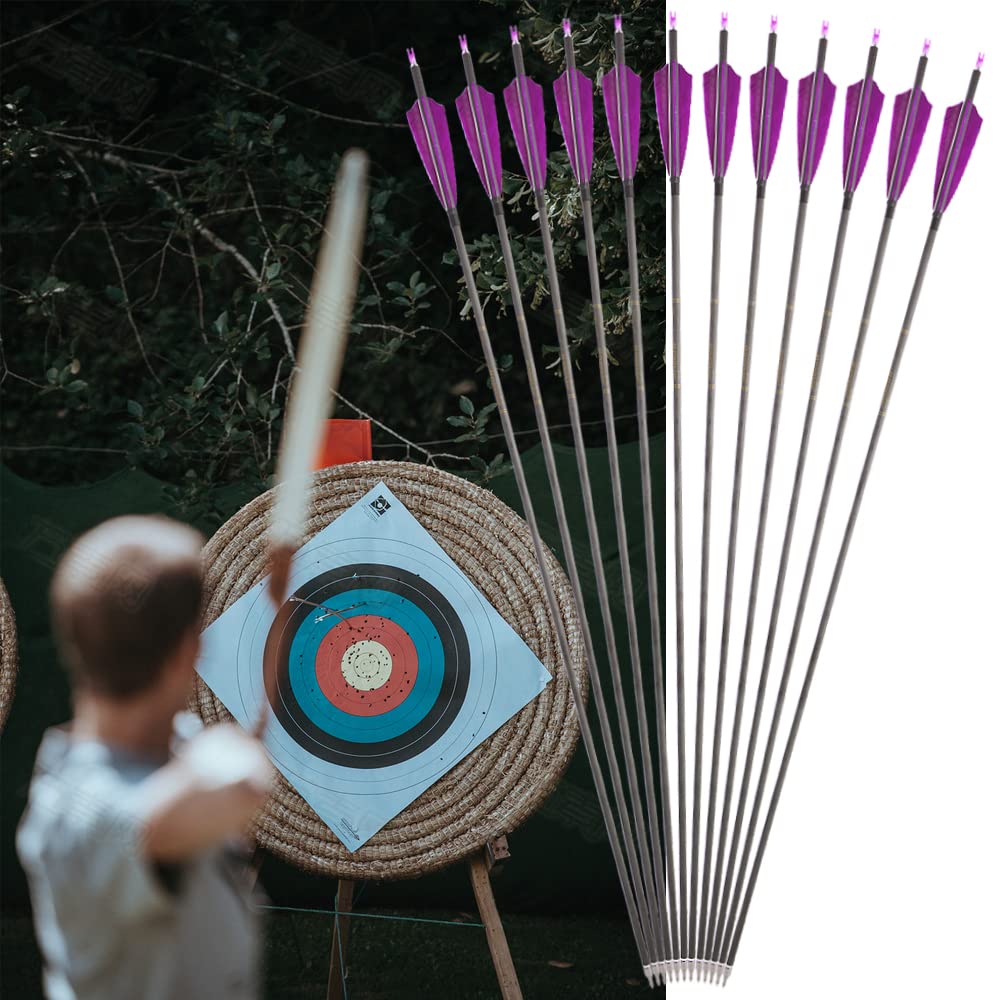 Compound Bow Arrows 400 Spine