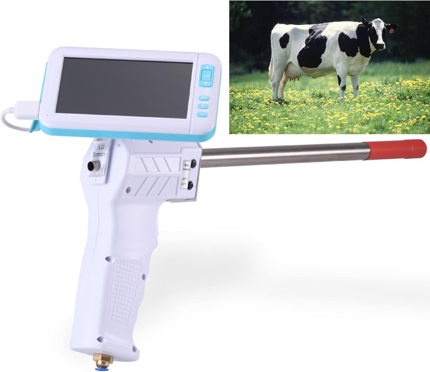 Amazon.com: Ben Zhan Visual Inseminator, Visible Animal Insemination Gun, Endoscopic ...
