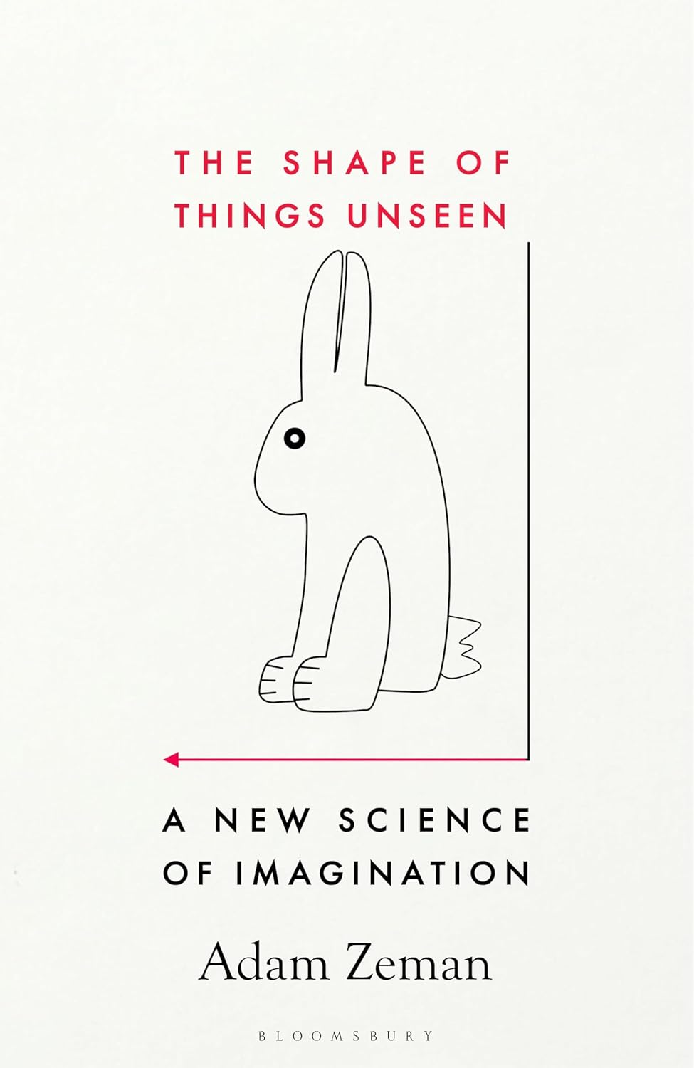 The Shape of Things Unseen: A New Science of Imagination: Zeman, Adam ...