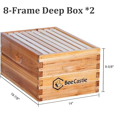 Complete Bee Hive Starter Kit with Frames and Bahrain | Ubuy