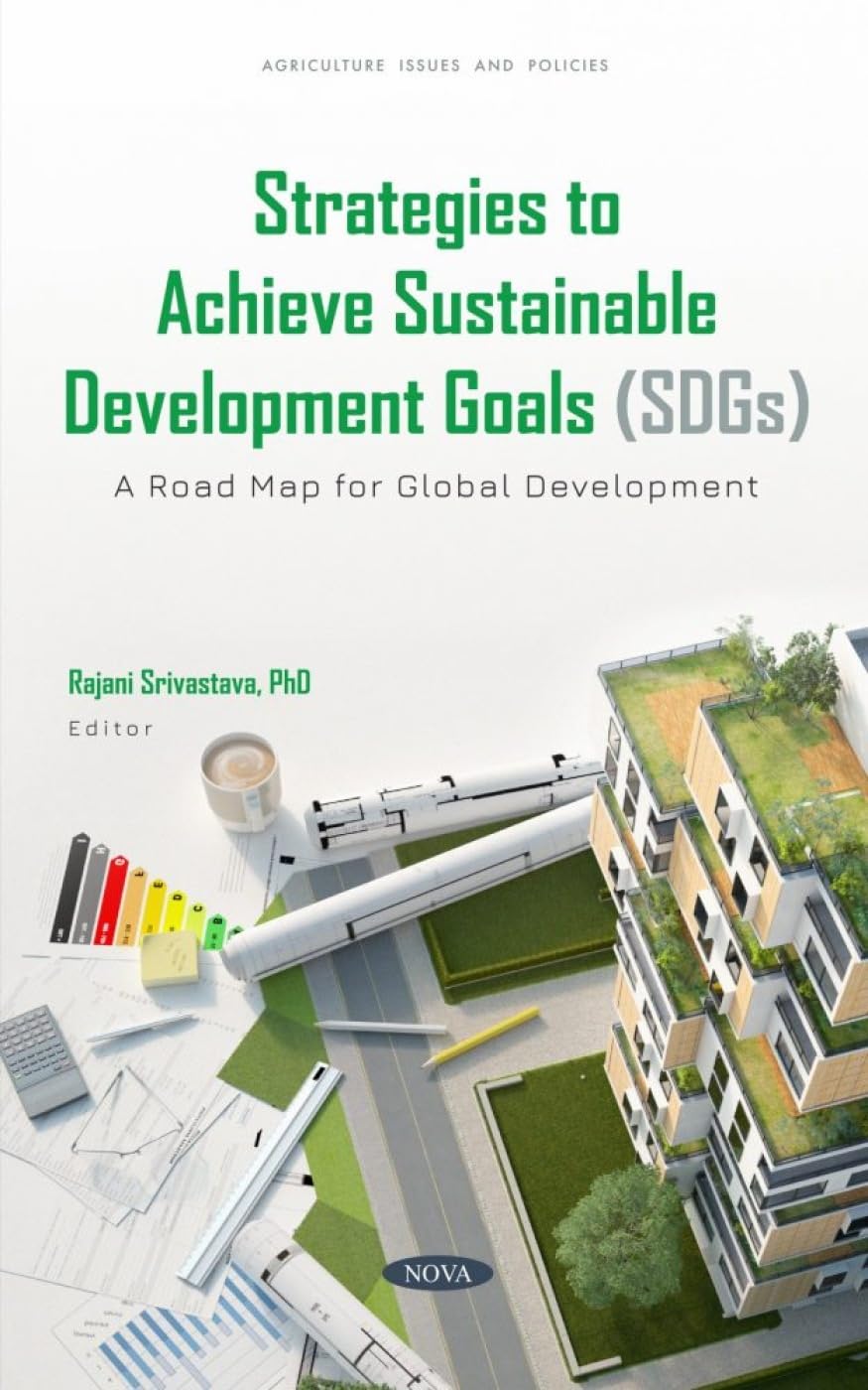 Amazon.com: Strategies to Achieve Sustainable Development Goals Sdgs: A ...