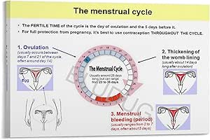 Amazon.com: BLUDUG The Menstrual Cycle Posters Canvas Painting Wall Art ...