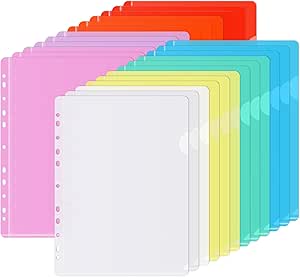 Agoer 24 Cartelline in Plastica A4, Buste Trasparenti Anelli A4 con Apertura a L, 31 x 22 cm ...