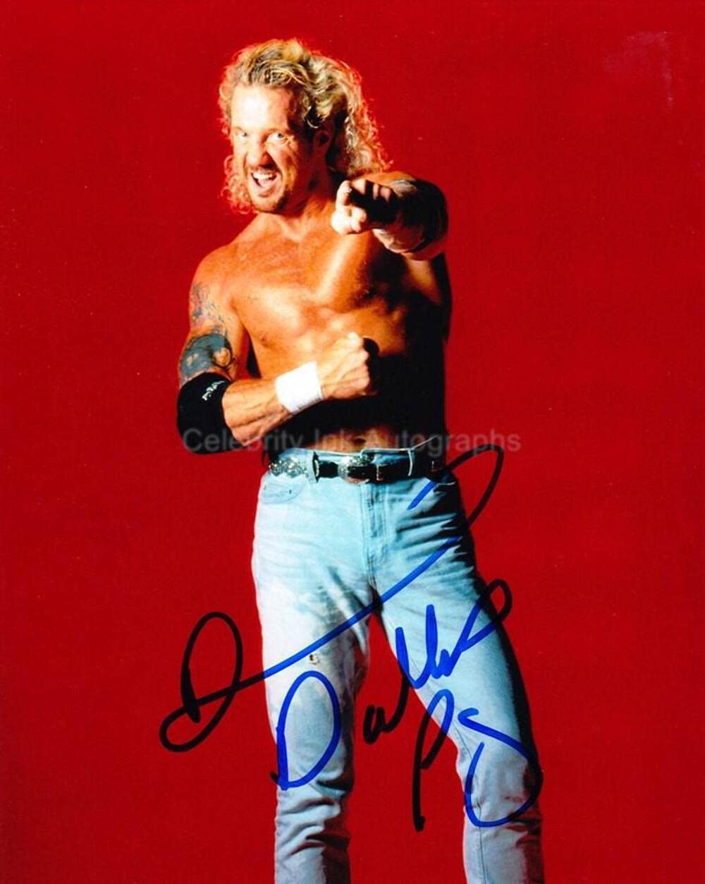 Diamond Dallas Page