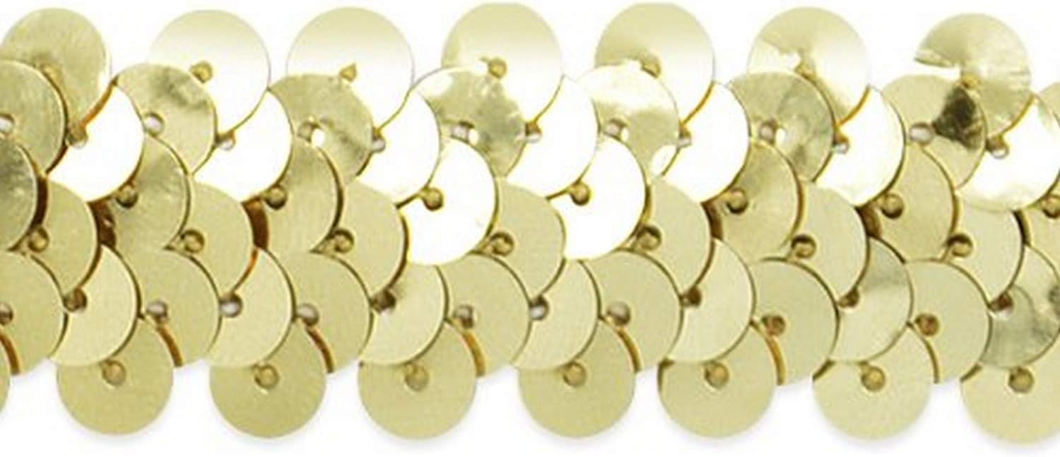 Amazon.com: Trims by The Yard 2-Row Metallic Stretch Sequin Trim, 7/8 ...