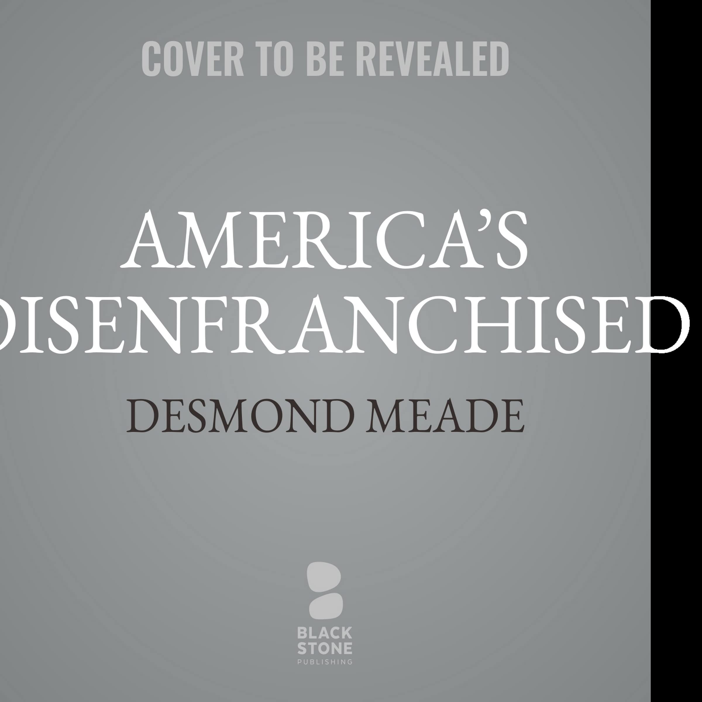 America's Disenfranchised: Why Restoring Their Vote Can Save the Soul ...