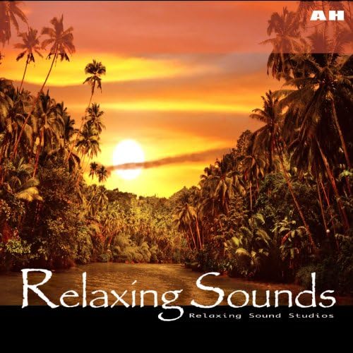 Amazon.com: Relaxing Sounds : Relaxing Sounds Studios: Digital Music