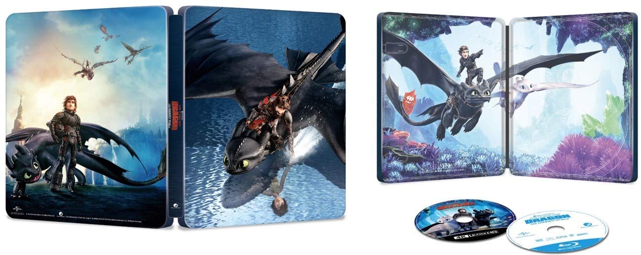 Made a custom print of the best illustration from the franchise : r/httyd