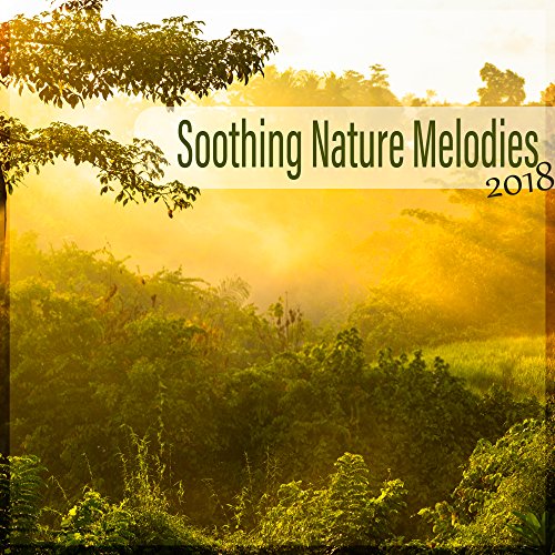 Play Soothing Nature Melodies 2018 by The Calming Sounds of Nature on ...