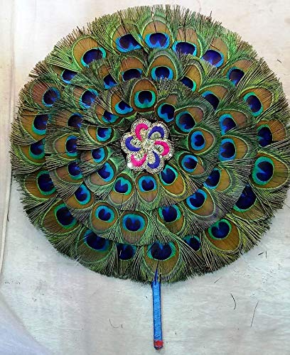 Buy Radhika Poojan Bhandar Natural Peacock Feather Hand Fan/Mor Pankh ...