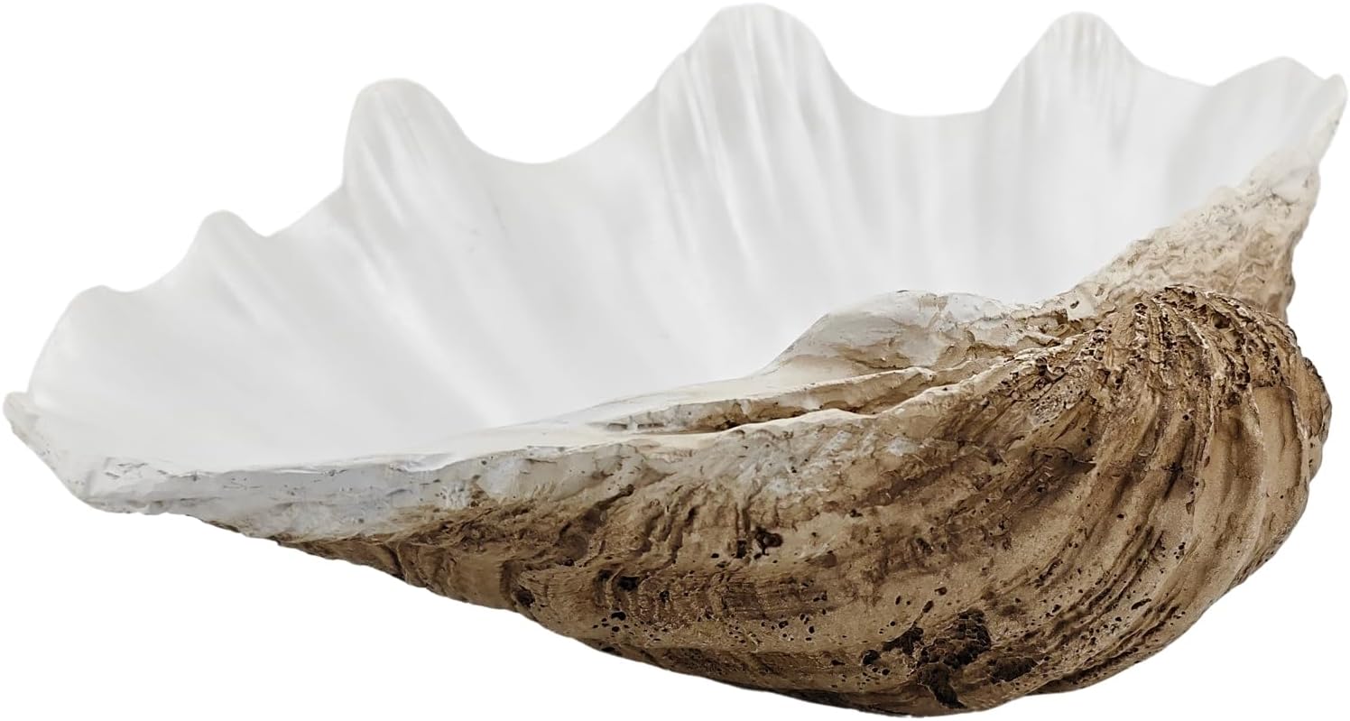 Amazon.com: Maxcheck 2 Pcs Large White Sea Shells Decorative Bowl ...