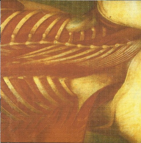 General Surgery, Butcher ABC - Split - Amazon.com Music