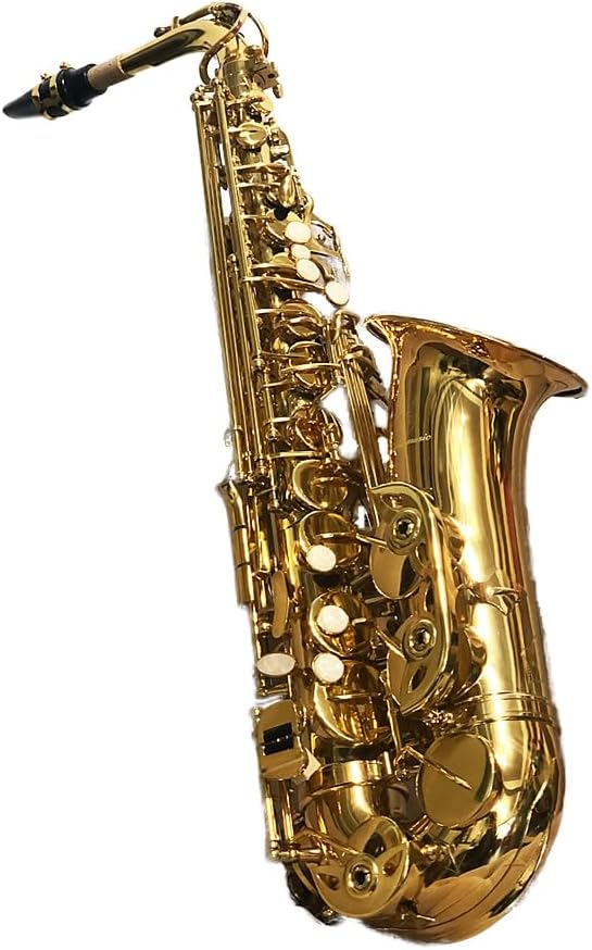 Amazon.co.jp: Alto Saxophone Beginner Beginner Set, Saxophone Wind ...