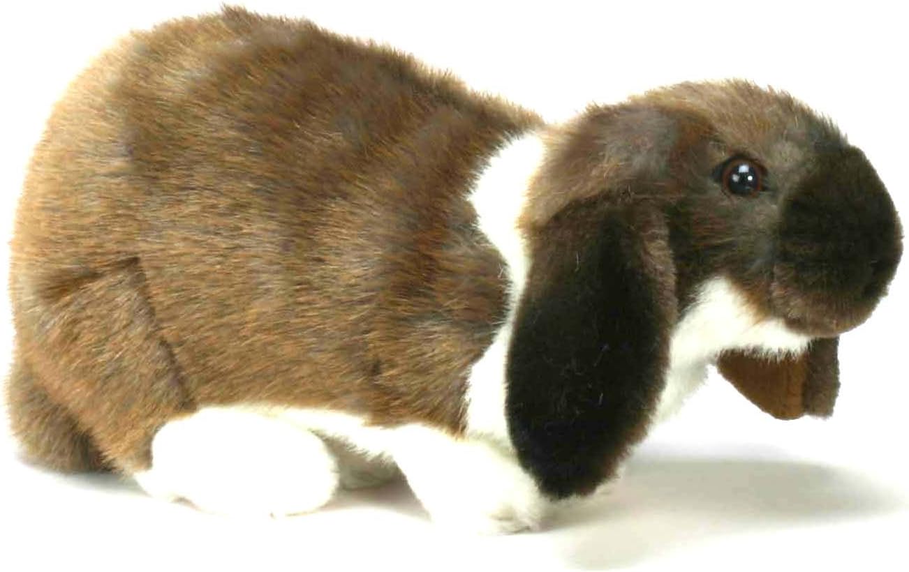 Amazon.com: Hansa Plush 10" Lop-Earred Rabbit : Toys & Games