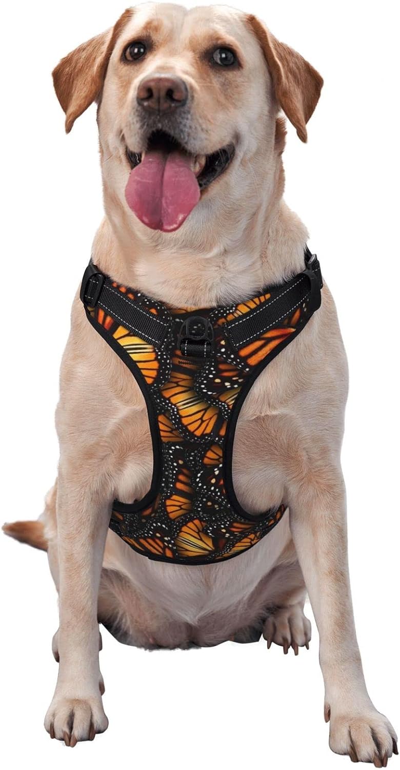 Amazon.com : No Pull Dog Harness Walking Heaps of Orange Monarch ...