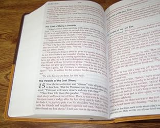 Holy Bible: New International Version: INTERNATIONAL BIBLE SOCIETY ...
