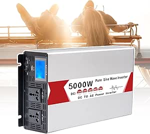 Amazon.co.jp: 4000w 5000w 6000w 8000w amorphous pure sine wave inverter, DC (12/24/48/60v) to AC ...