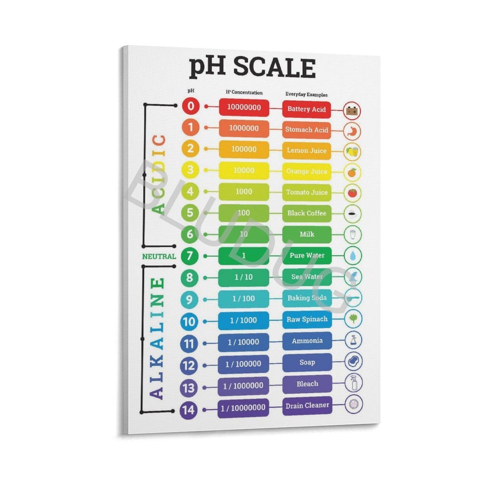 Ph Tester Colors