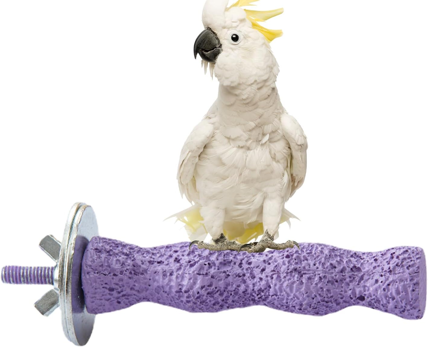 Amazon.com : Bird Perch, Bird Parrot Calcium Teeth Mouth Molar Grinding Stone, Conure parrot ...