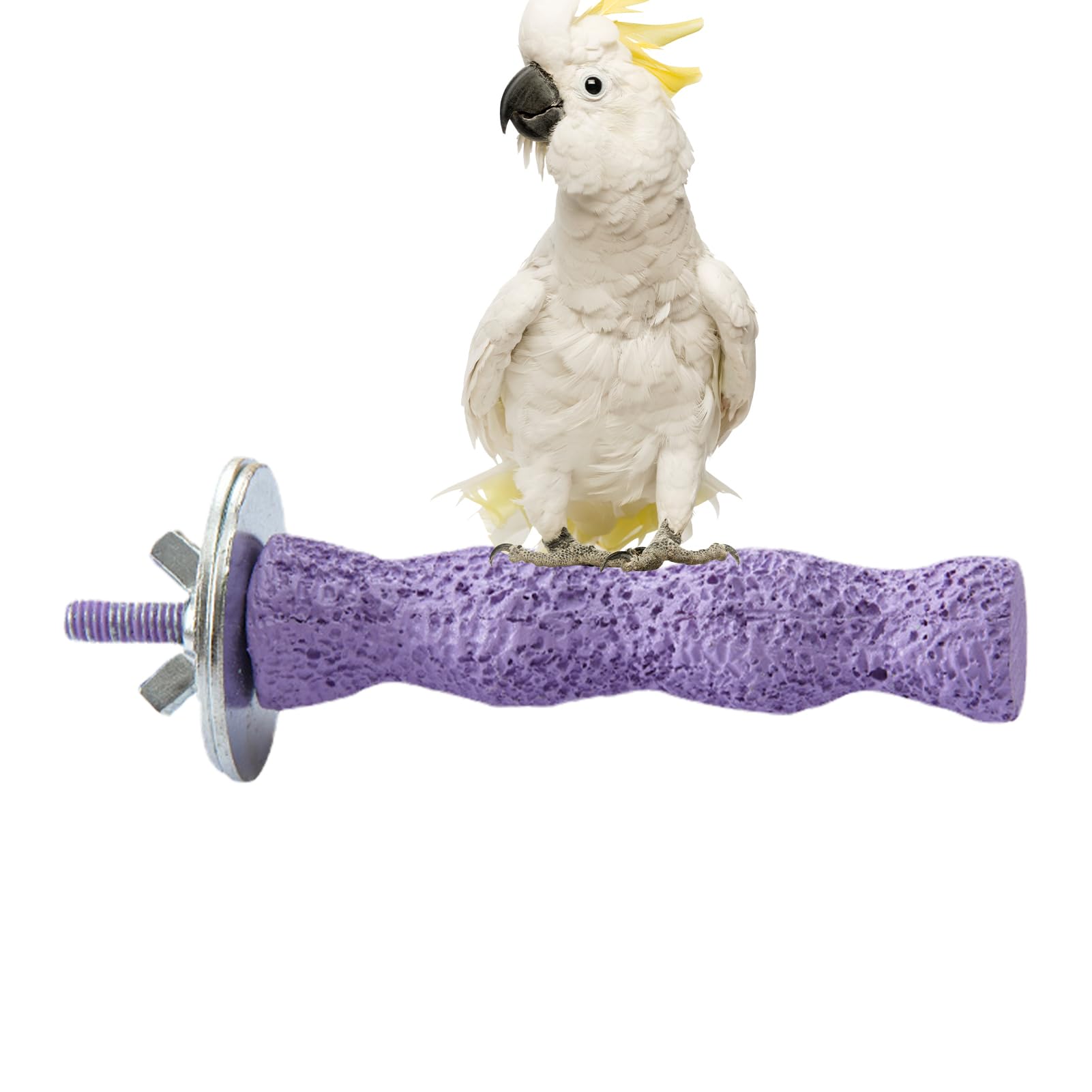 Amazon.com : Bird Perch, Bird Parrot Calcium Teeth Mouth Molar Grinding ...