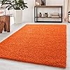 BPIL Shaggy Rugs Soft plain Thick Pile Large Small Antiskid Area Rug ...