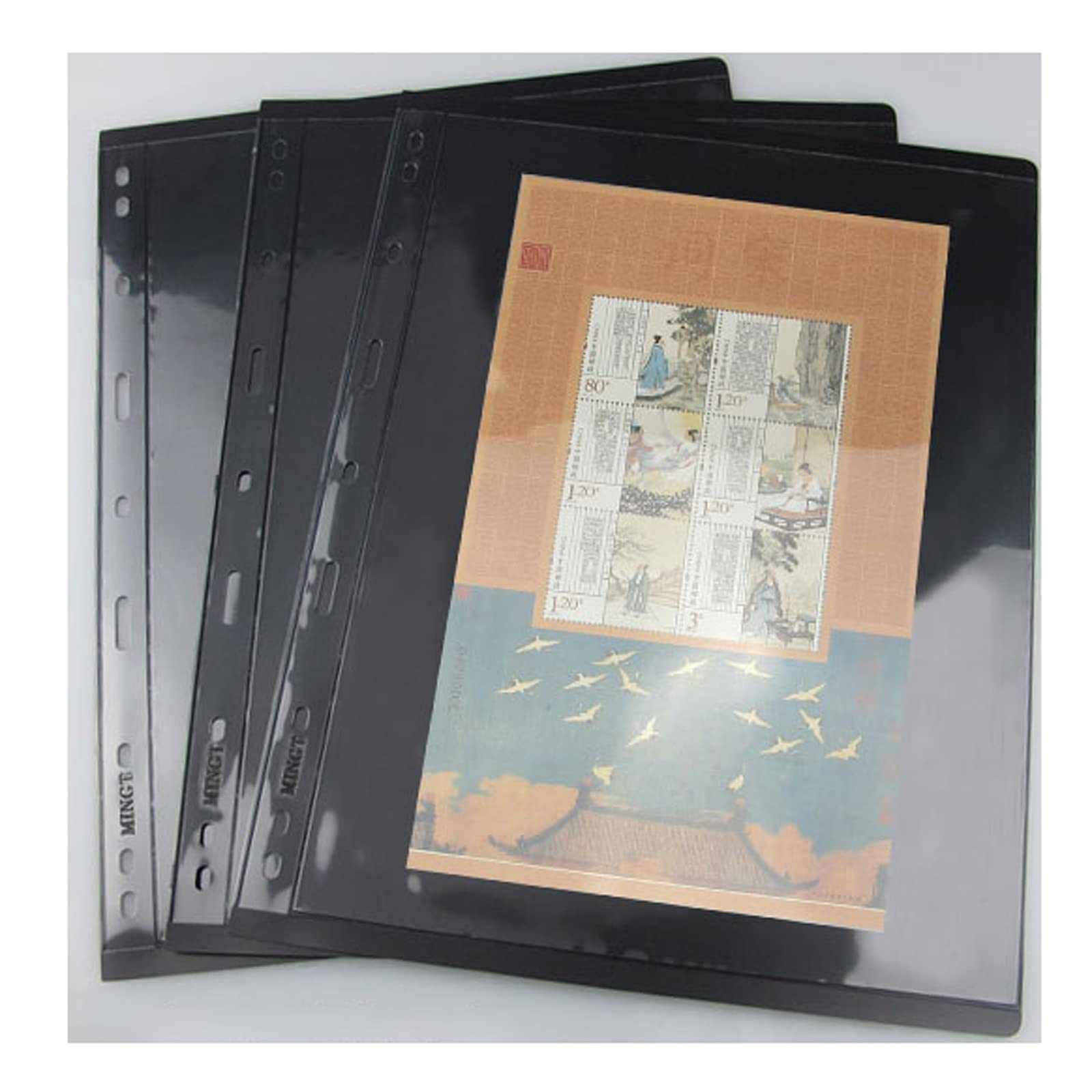 Buy Stamp Pages For Stamp Album Binder,Pages For Stamp Pages Collectors ...