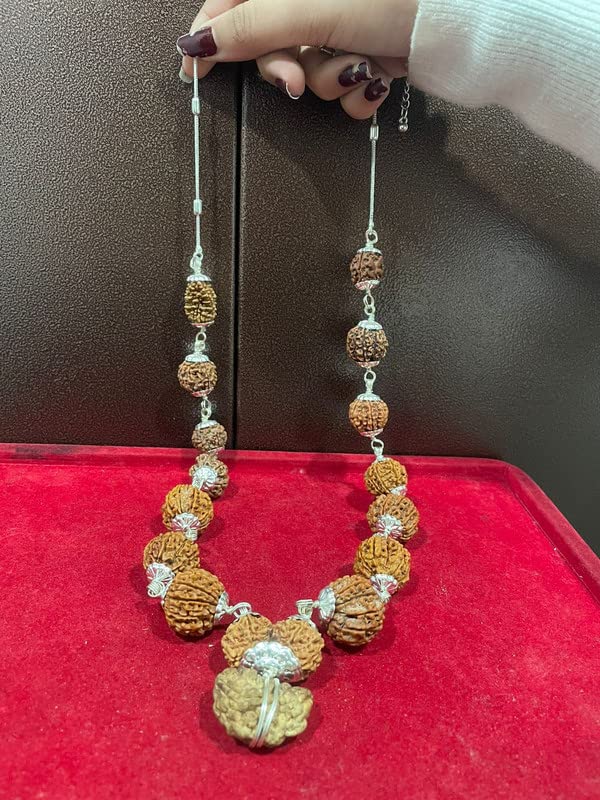 Galaxy Gems Siddha Mala Original Certified Nepali 1 - 14 Mukhi ...