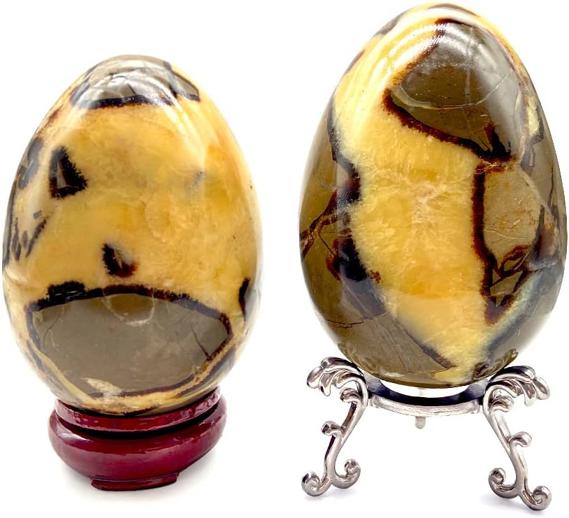 Amazon.com: RALDMOV Natural Septarium Dragon Eggs Septarian for Home ...