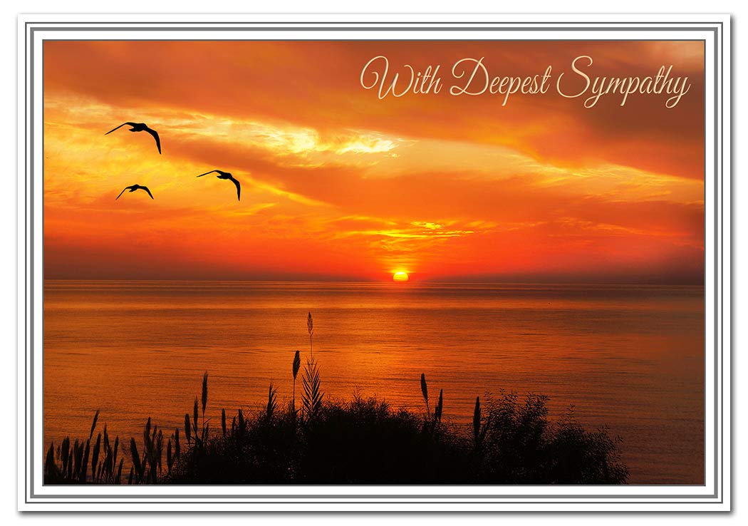 Buy Sympathy Card - Deepest Sympathy Cards - Sincere, Heartfelt ...